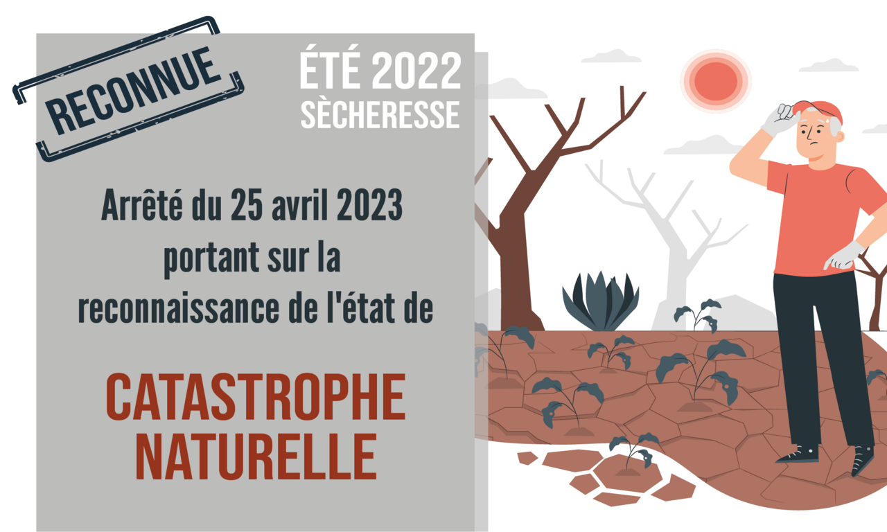 Catastrophe naturelle : Arrêté du 25 avril 2023. reconnaissance de l ...