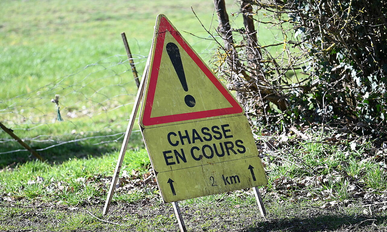 16/01 : Chasse exceptionnelle aux sangliers - Etang des Noës - Le ...